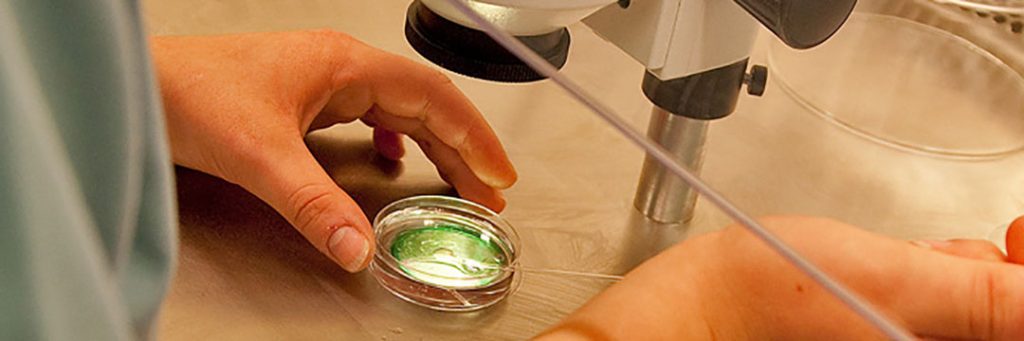 How to Get Prepared for IVF Treatment - A Step by Step Guide